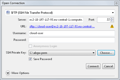 Obtaining password and logging in to Acronis Cyber Infrastructure ...